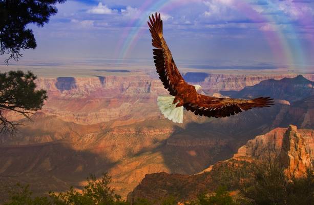 Állatok világa - szavazo.hu